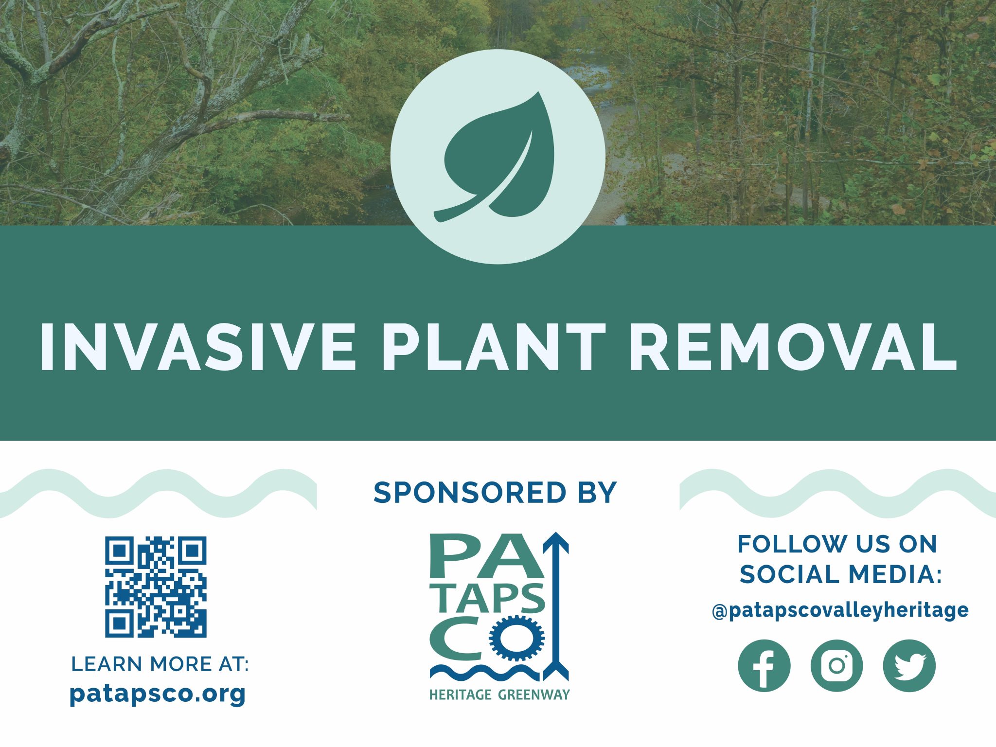 PHG & Serenity Ridge Invasive Removal - Patapsco Heritage Greenway