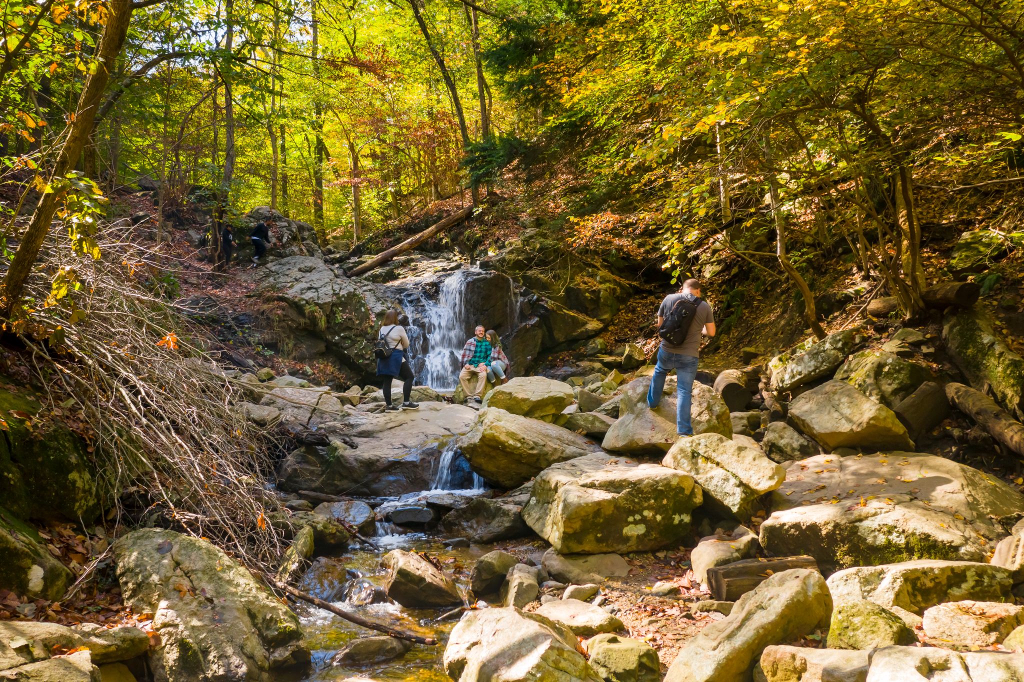 Home - Patapsco Heritage Greenway