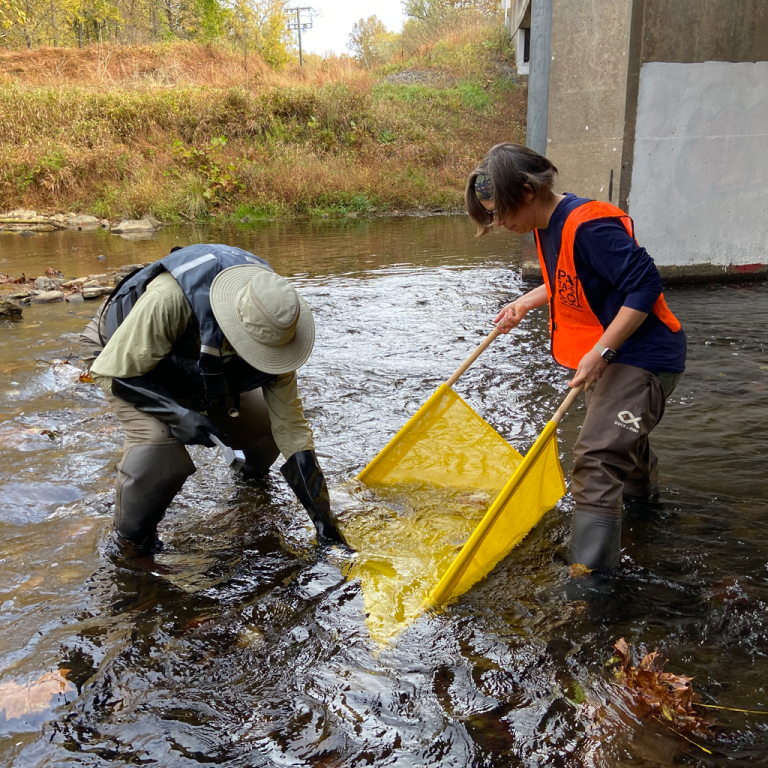 Water Quality Monitoring - Patapsco Heritage Greenway