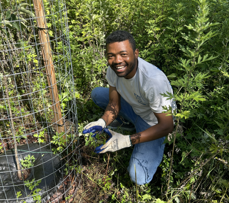 Agroforestry: A new (and old) way of tree planting - Patapsco Heritage ...